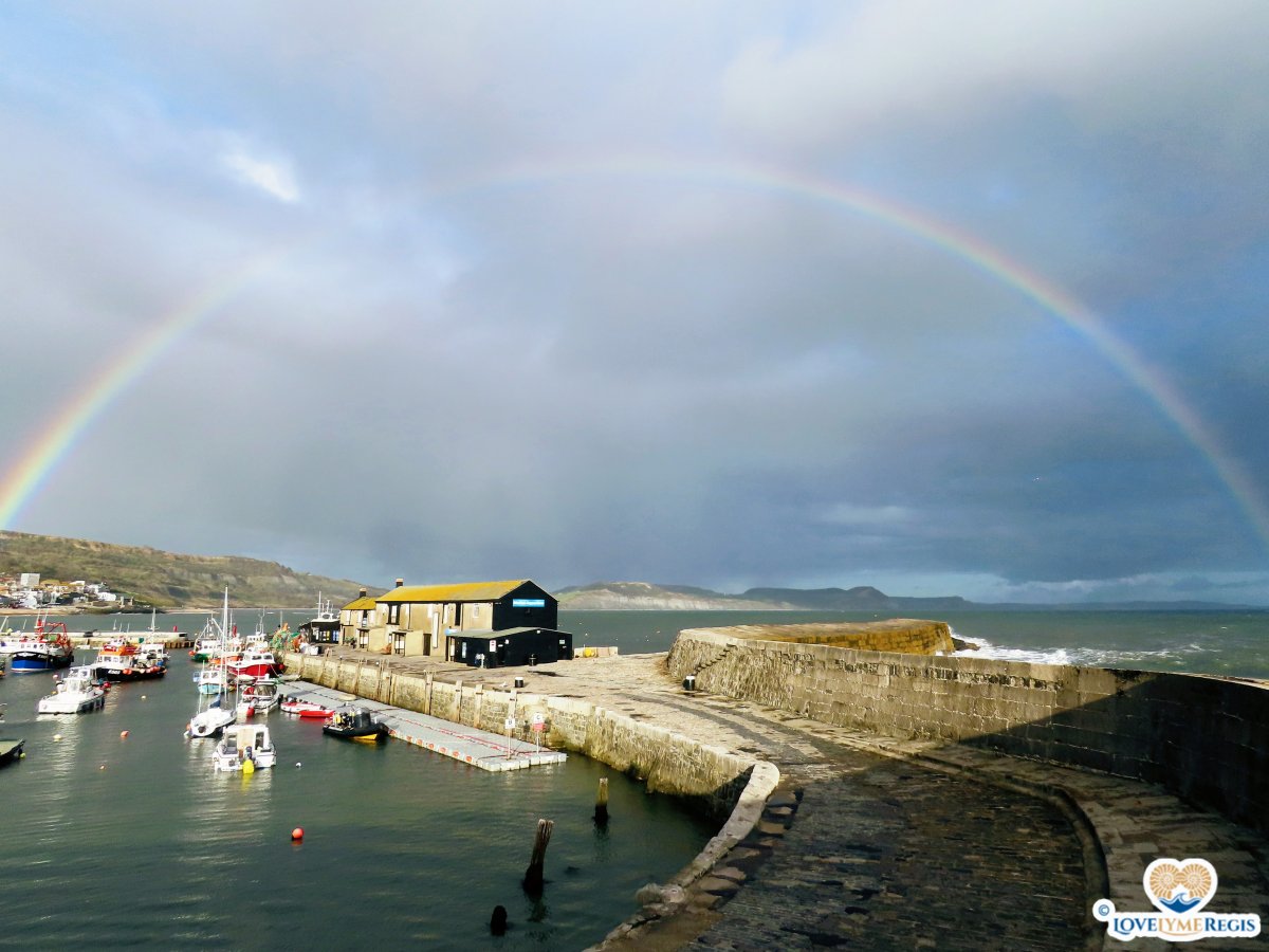 The Cobb - Lyme's iconic harbour wall - Love Lyme Regis